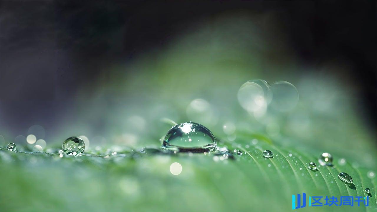 加密早报：OpenAI 推出具备推理能力的 AI 模型 o1，币安 Launchpool 将上线 Hamster Kombat -区块周刊BlockWeeks