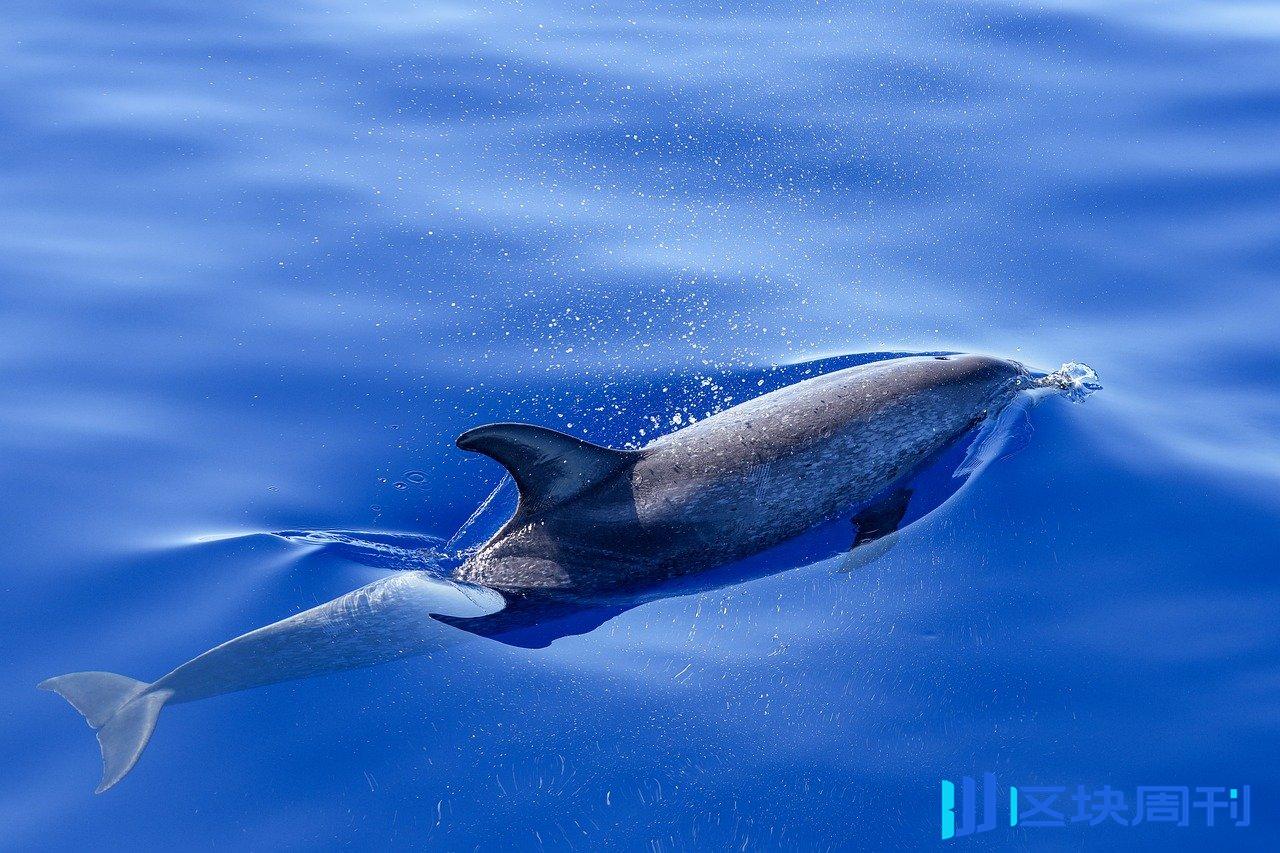 加密早报： 特朗普与哈里斯在今日进行首场辩论，PayPal 和 Venmo 集成 ENS -区块周刊BlockWeeks