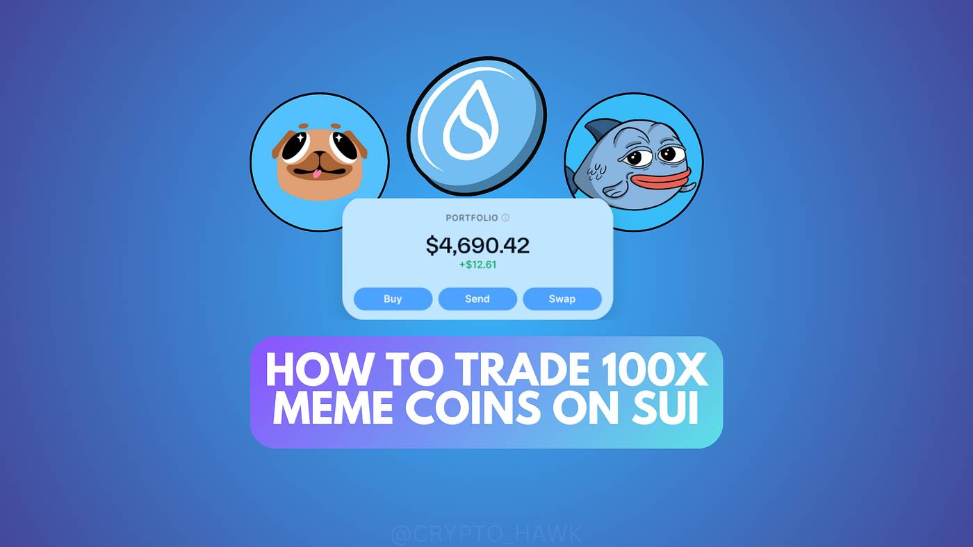 SUI 币价创历史新高、Meme 币集中暴涨，如何参与崛起的 Sui 生态？ -区块周刊BlockWeeks