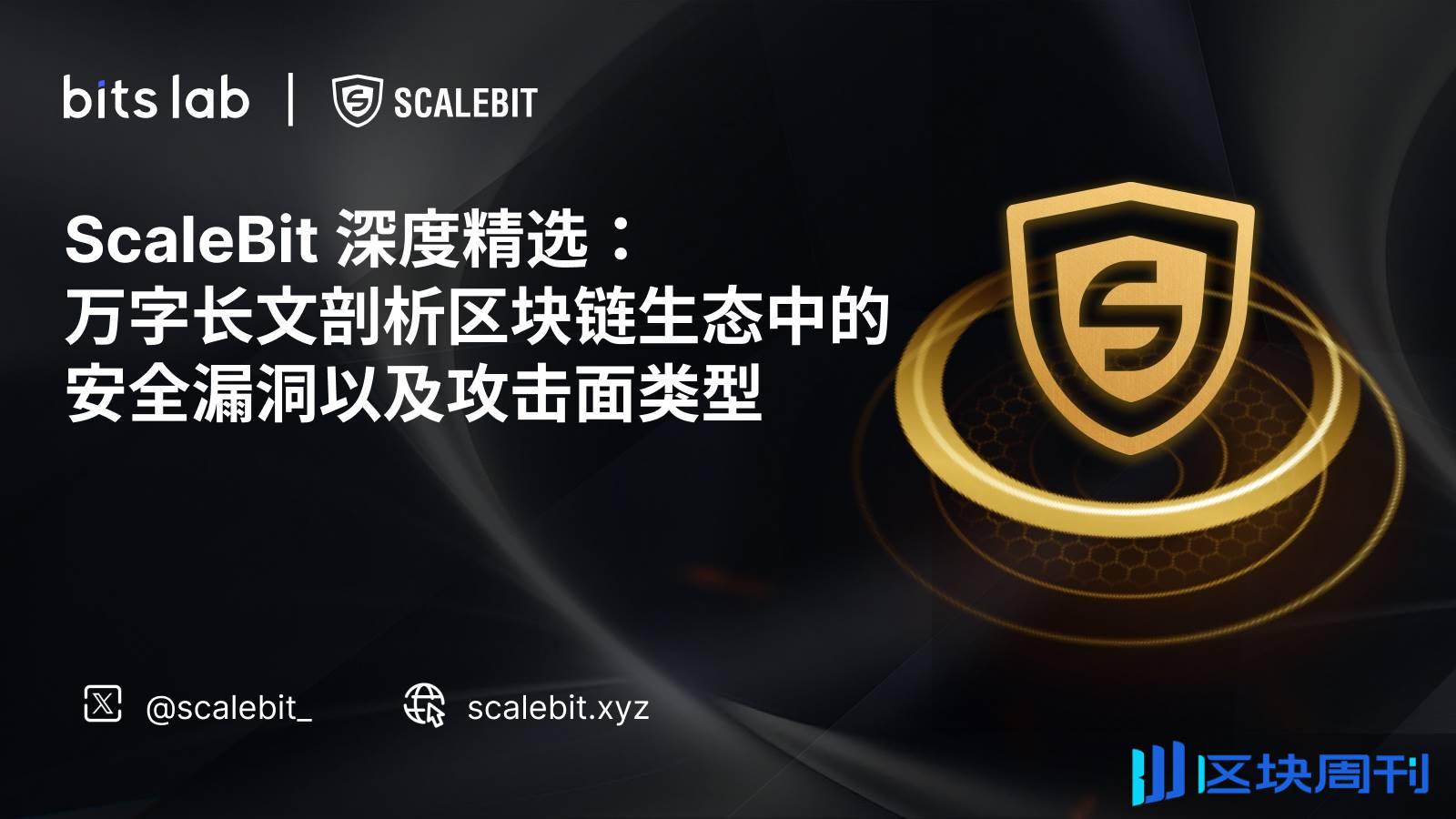 ScaleBit 深度精选：一文剖析区块链生态中的安全漏洞以及攻击面列表 -区块周刊BlockWeeks
