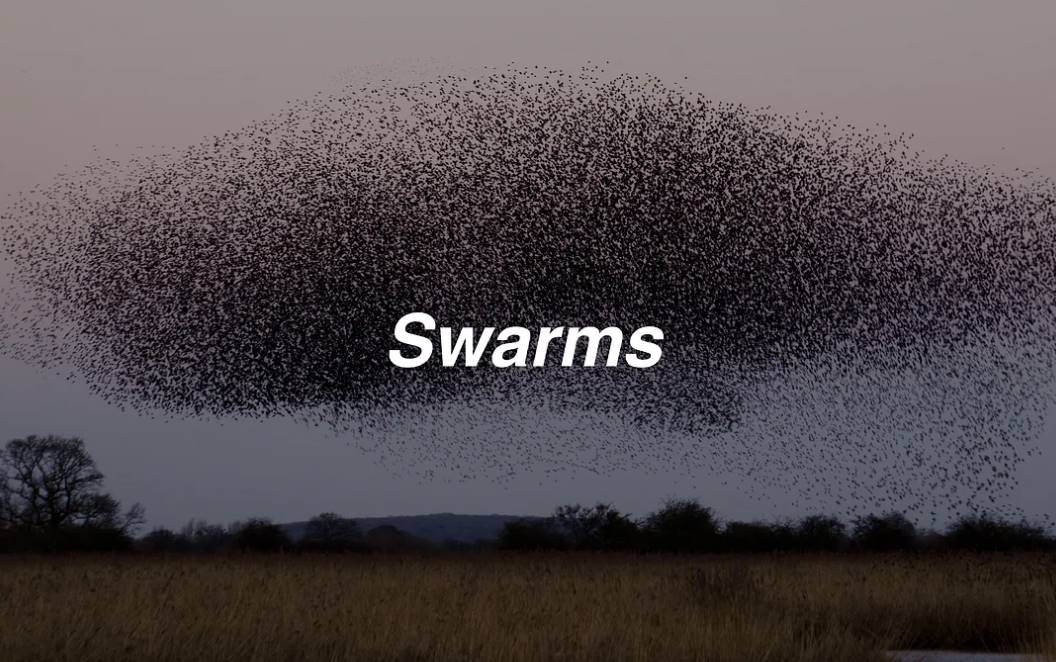 AI Agent 新贵 Swarms 一周 7 倍，还有哪些生态潜力项目？ -区块周刊BlockWeeks