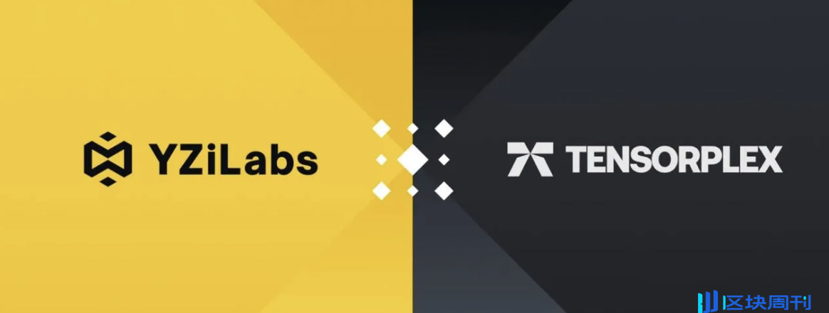 一天暴涨 500%，读懂 Yzi Labs 投资的 Tensorplex Labs？ -区块周刊BlockWeeks