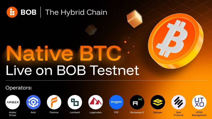 BOB 宣布在BitVM测试网将原生BTC引入DeFi系统，Lombard、Solv Protocol、Fiamma等十家机构提供支持 -区块周刊BlockWeeks